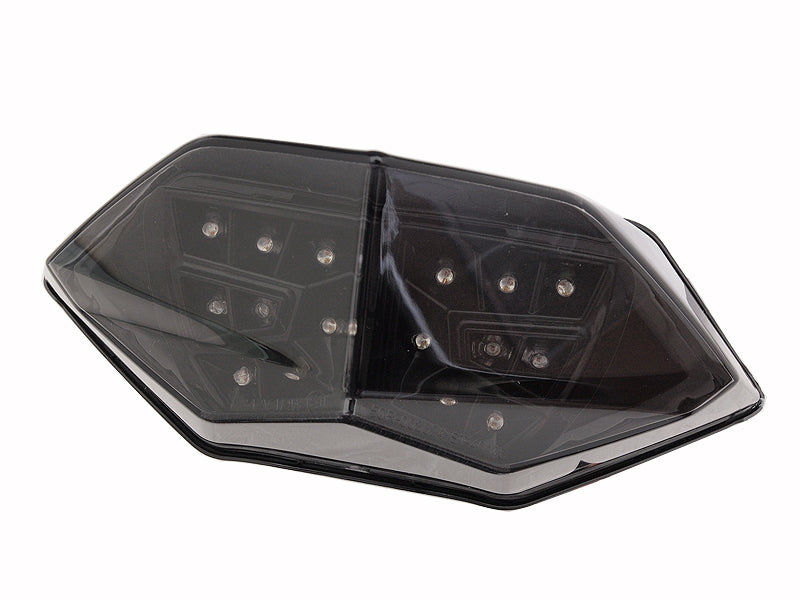 Kawasaki Ninja 300 Tail Light | Ninja 300 Integrated Tail Light ...